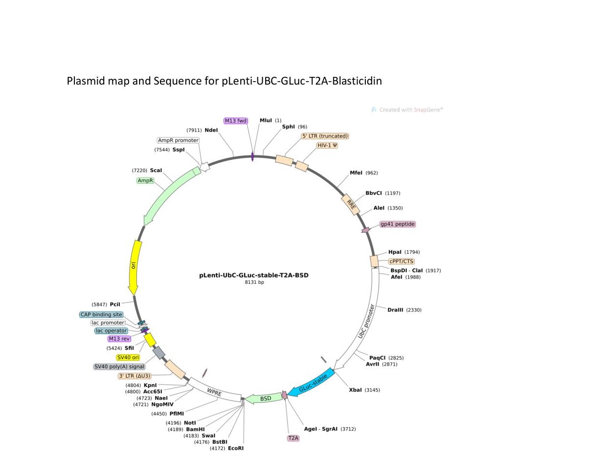 Drug Discovery | Tumor Imaging | Cell Tracking - Product Price List